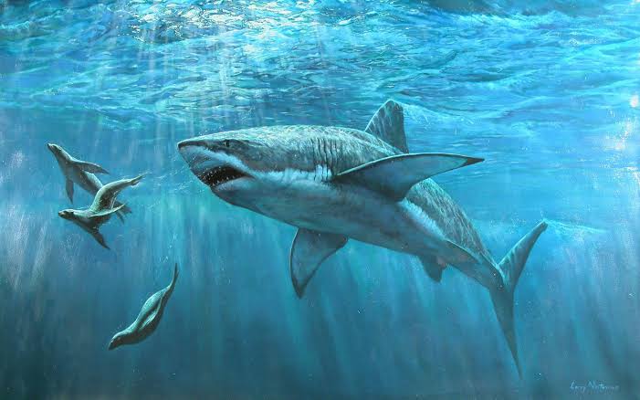 How did sharks survive five mass extinction events? Interesting facts ...