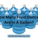 The Education Journey